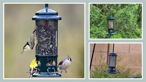 15 Best Bird Feeders For Outdoor Hanging For Your Backyard Birds