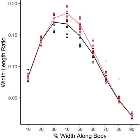 Comparison Of Widthlength Ratio At 10 Increments Along The Body Of