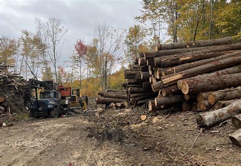 Beau Shell Logging Added A New Photo Beau Shell Logging