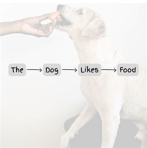 Tune Transformers Using Pytorch Lightning And Huggingface By Jacob