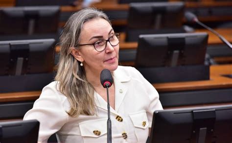Comissão De Segurança Pública Debate Uso De Câmeras Por Agentes