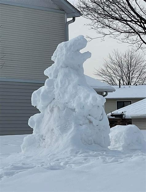 Snowzilla From Suburban Illinois Rgodzilla
