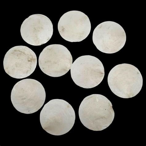 Natural Indonesia Capiz Shell Rounds Windowpane Oysters Bundle Of 10 Sz 2 5 Dia Etsy
