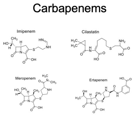 Carbapenems Flashcards Quizlet