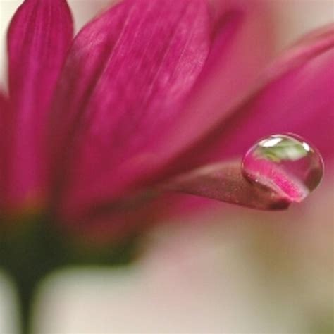 Debora Arantes University Of Porto Porto Up Departamento De Psicologia Research Profile