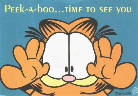 My Favorite Funny Postcards Garfield Peek A Boo Funny Postcards