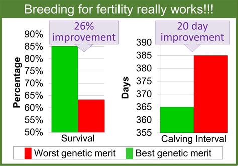 Breeding For Low Heritability Traits Can Achieve Real Results Icbf