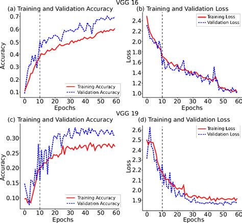 Optimization Of Accuracy And Minimization Of The Loss Function During