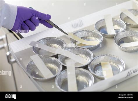 Research On Synthesis Assembly And Processing Of Polymers Basque Center For Macromolecular