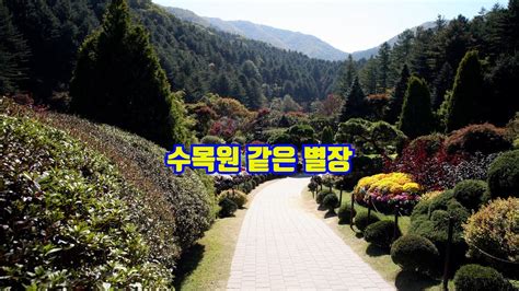 수목원같은별장 Youtube