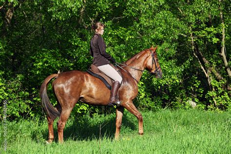 Blonde Riding Horse