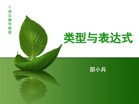 1类型与表达式word文档在线阅读与下载无忧文档
