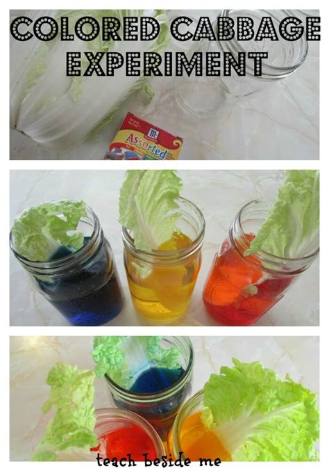 Science Colour Experiments