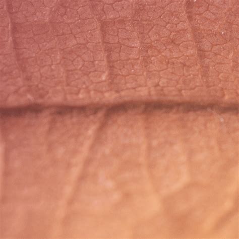 Shop Fiit Element Fall Tobacco Sticks Iqos