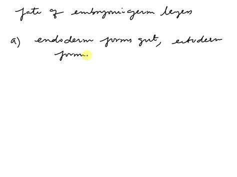 Solved The Fate Of The Embryonic Germ Layers Is The Endoderm Forms