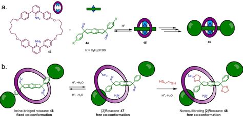Dynamic Covalent Chemistry For Synthesis And Co‐conformational Control