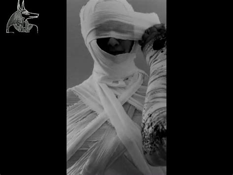 Mummy Wrapping Screentest 1 By Darknessofanubis On Deviantart