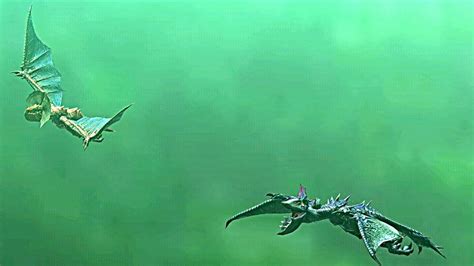 Mh4g 怪鳥イャンクックand黒狼鳥イャンガルルガ Yian Kut Ku Andyian Garuga Hdムービー Youtube