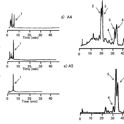 Hplc Chromatograms Of Fractions A4 1 A4 4 In Emmbp Peak 1 Caffeic