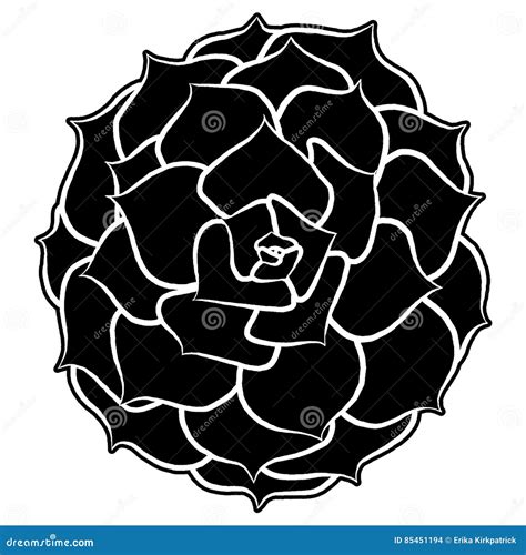 Succulent Silhouette Illustration Stock Illustration Illustration Of