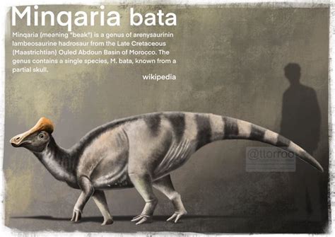 Minqaria Bata A Unique Dinosaur Species