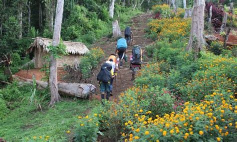 2023 年南太平洋巴布亞紐幾內亞的旅遊景點、旅遊指南、行程 Tripadvisor 2023 年南太平洋巴布亞紐幾內亞的旅遊景點、旅遊指南、行程 Tripadvisor