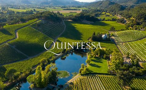 Quintessa Wine Napa Valley Red Blend 750 Ml At Amazons Wine Store