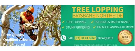 Tree Removal Tree Lopping Brisbane Tree Lopping Brisbane North