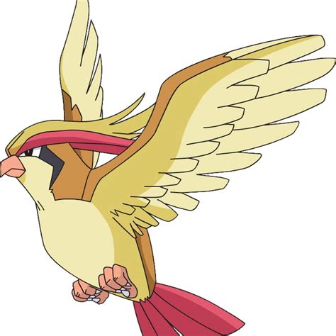 Pidgey Pokemon Flying Type Normal Type Evolutionary Line Regional