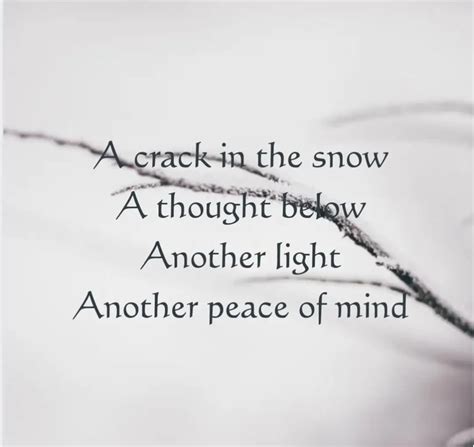 Snow White Lines — Laney Shelley Buymeacoffee