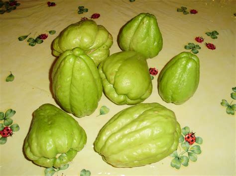 Photos Chayotte Christophine