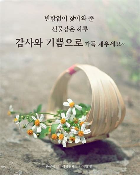 캘리그라피에 있는 남궁은주님의 핀 좋은 아침 인사 좋은 아침 이미지 아침 인사