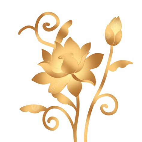 รูปดอกบัวตูมสีทอง Png โกลเด้น ดอกบัว ดอกไม้ภาพ Png และ Psd สำหรับ