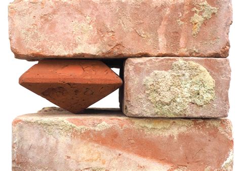 Elise Hoebeke Current Obsession