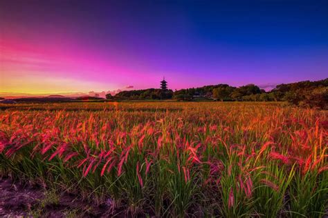 วิธีการเดินทาง เวลาทำการ และสถานที่ท่องเที่ยวใกล้เคียงของ วัดสาขาบิชู