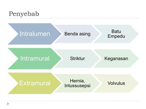 Ileus Obstruction 1 Pptx