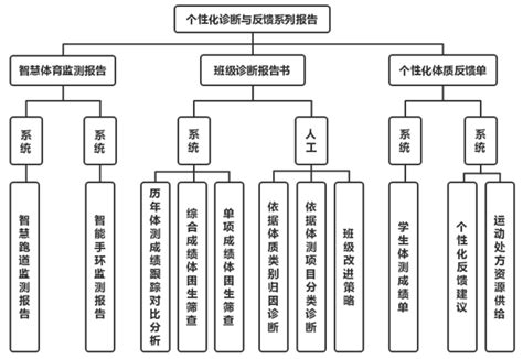 优秀案例丨基于大数据下的小学生体质健康个性化诊断与反馈实践研究报告模型
