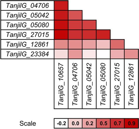 Correlations Between Gene Expression Profiles Revealed Using