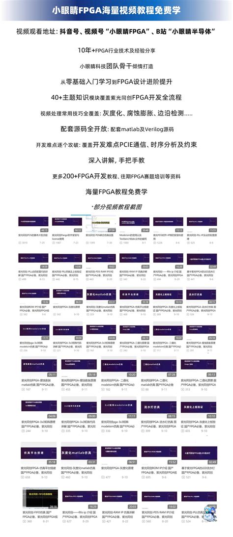 【国产fpga入学必备】国产fpga权威设计指南配套fpga图像视频教程 哔哩哔哩