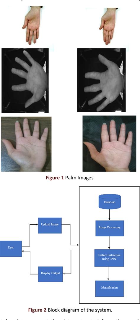 Figure 1 From Soft Computing Approach For Feature Extraction Of Palm Biometric Semantic Scholar