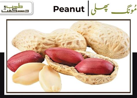 مُونگ پھلی Peanut Peanut Butter Nutritious