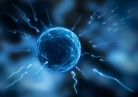 ‘무정자증 남편 정자 Ai가 3개 찾아내…18년만에 임신 성공