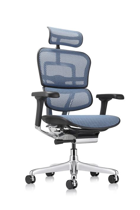 Eurotech Ergohuman High Back Chair Factory Sale