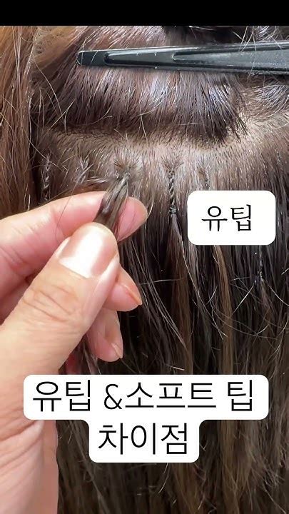 유팁 소프트팁 차이점 Hair 강남붙임머리 역삼붙임머리 소프트팁 붙임머리 분당붙임머리 Youtube