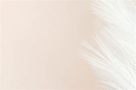 화려한 인공 깃털이 베이지 색 배경에 촬영되었습니다 텍스트를위한 공간 타조 깃털에 대한 스톡 사진 및 기타 이미지 타조 깃털