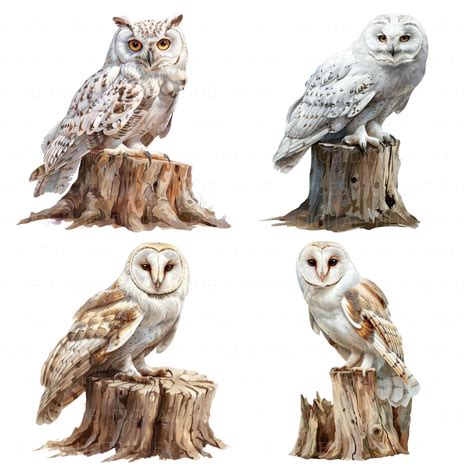 12 Owl On Tree Stump Clipart Watercolor Nursery Owl Digital Download
