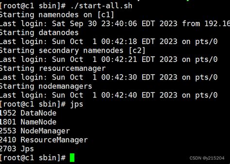 Hadoop Namenode Datanode Hadoop Jps Namenode Csdn
