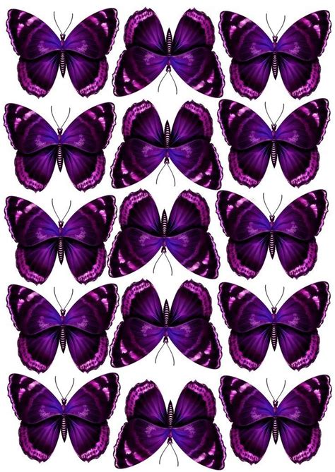 Pin De Beril Ersinova Em B🦋 Modelo De Borboleta Fotos De Borboletas