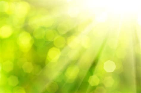 Premium Photo Natural Bokeh