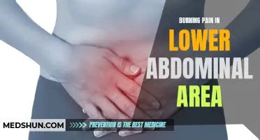 Understanding And Managing Lower Abdominal Pain Causes And Solutions